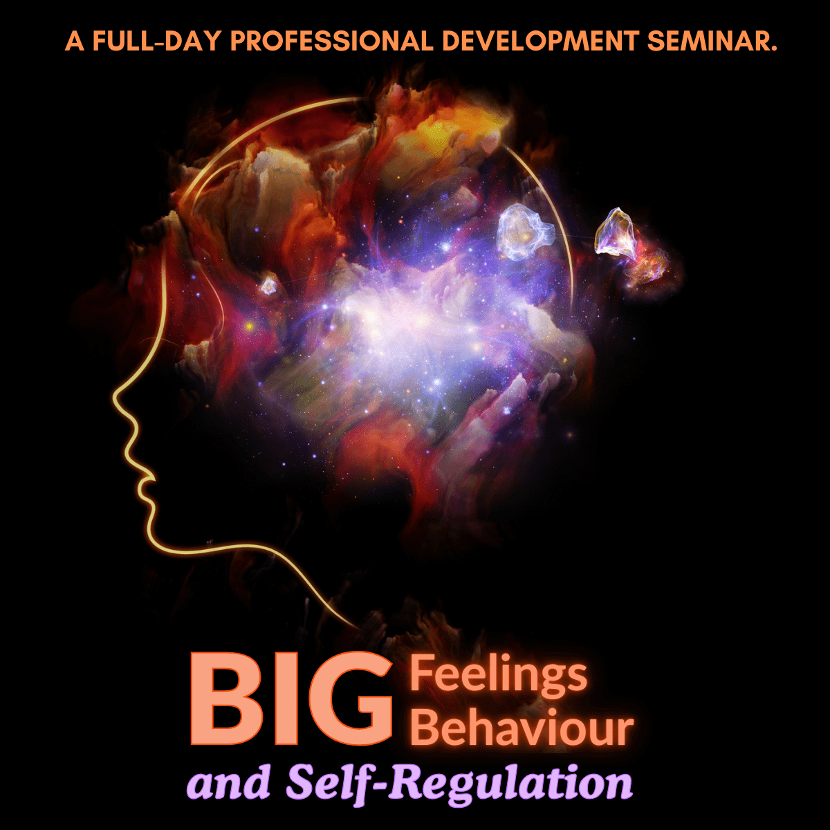 Big Behaviour, Feelings, and Regulation - Hey Sigmund